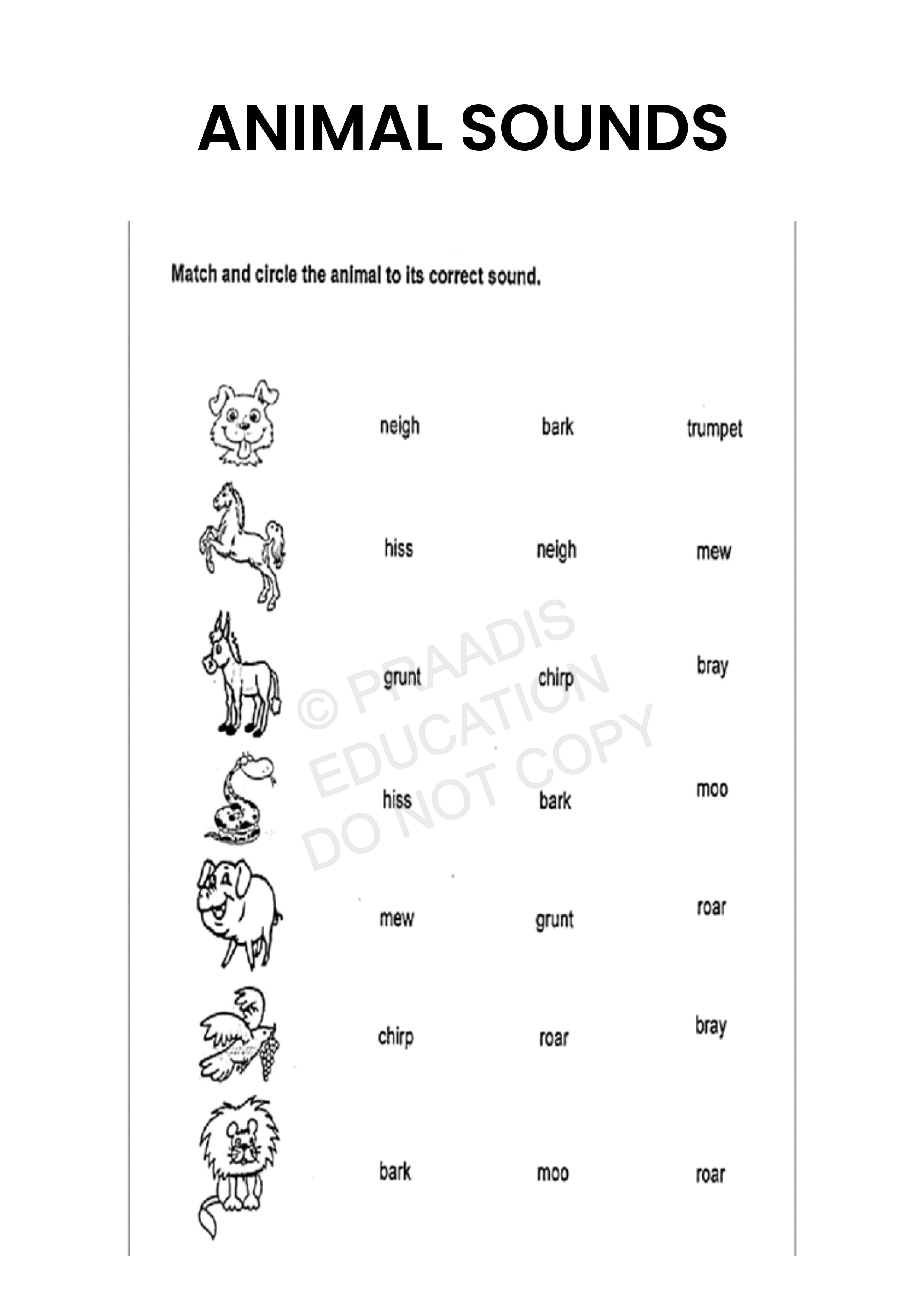 Worksheets For LKG To Grade 3 Maths English EVS Hindi Free 