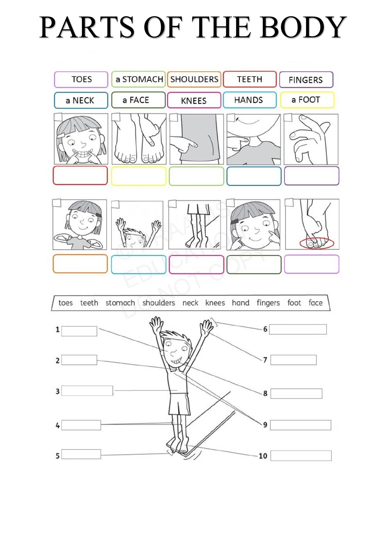Worksheets For LKG To Grade 3 Maths English EVS Hindi Free 