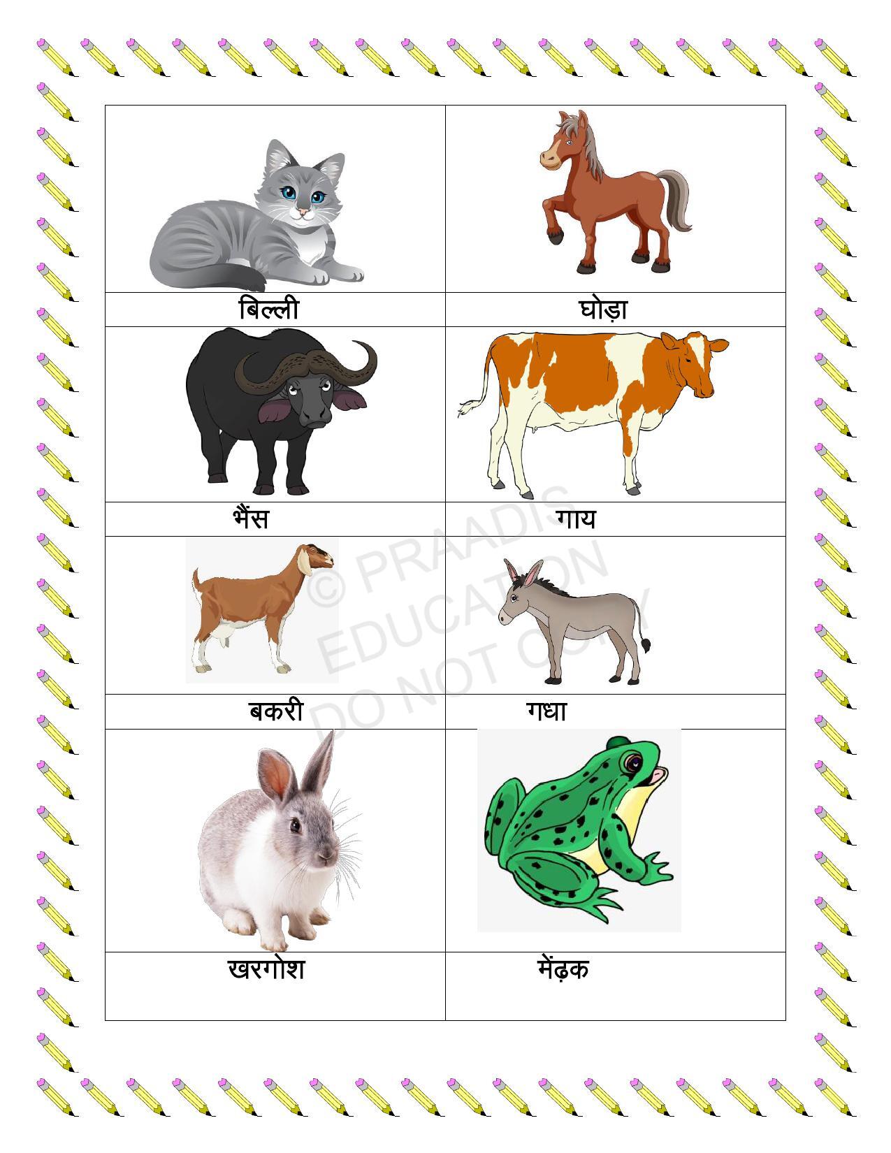 worksheets-for-lkg-to-grade-3-maths-english-evs-hindi-free